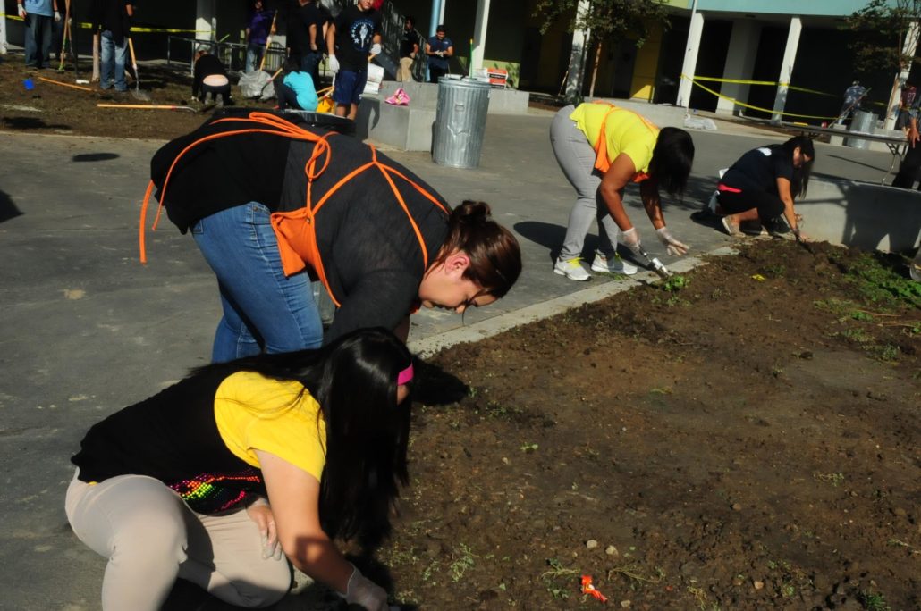 Urban Forestry Clean Tree Community Beautification Program